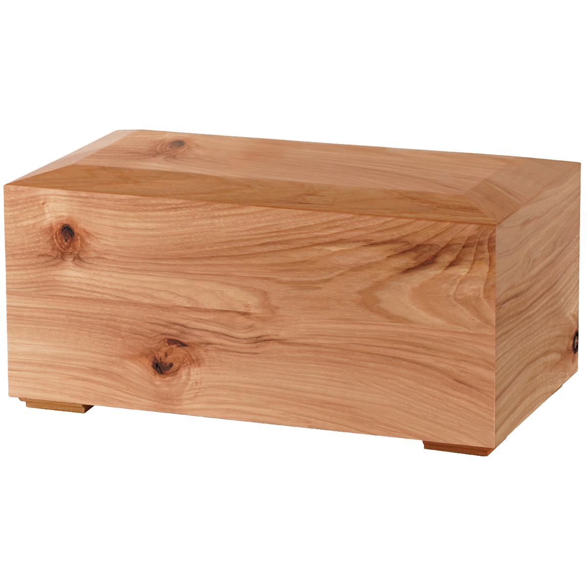 Made in the USA - Terrybear